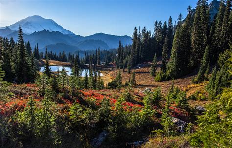 Fall Colors At Tipsoo Tipsoo Lake Mount Rainier National … Flickr