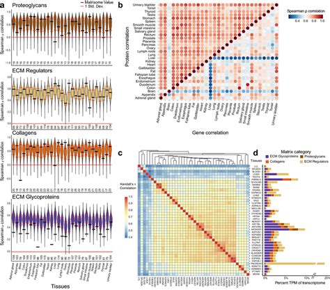 A Transcriptomic And Proteomic Overview Of The Matrisome A Four