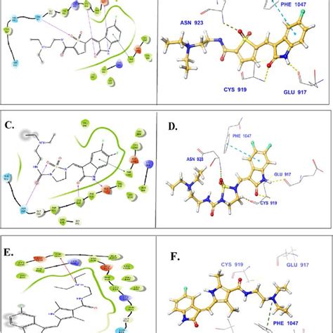 Binding Interaction Analysis Of A 2d Interaction Of Compound 163 B 3d
