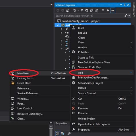 wpf form ile entity framework kullanarak veri tabanı bağlantısı web