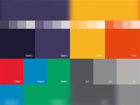 brand color palette examples by borko Ćurčić on dribbble