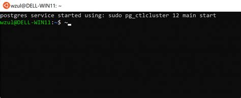 making postgresql run on the first start of wsl 2 terminal wanzul blog