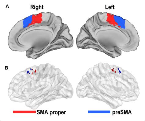 Functional Connectivity Based Parcellation Of The Human Supplementary