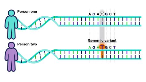 Polygenic Risk Scores