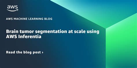 Brain Tumor Segmentation At Scale Using Aws Inferentia Aws Machine