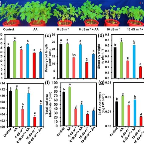Effects Of Foliar Applied Acetic Acid On A The Overall Growth B