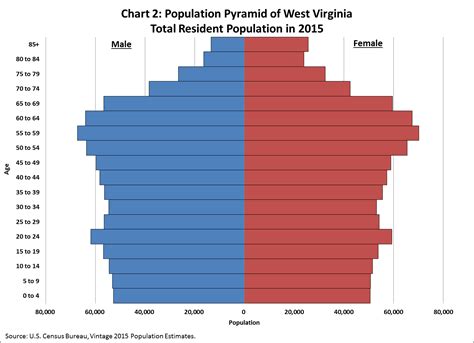 38 Population Age Structure Diagram Diagram For You