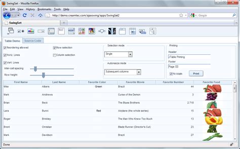 java swing web application examples decoration examples