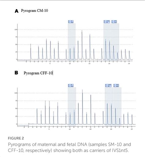 Figure 2 From Cell Free Fetal Dna As A Non Invasive Method Using