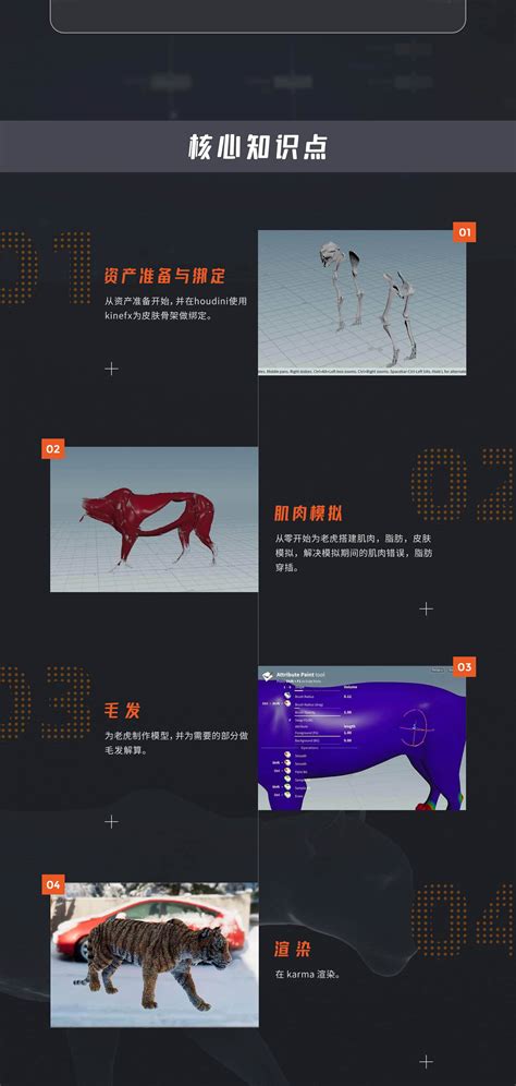 houdini 19 5 老虎特效动画全流程教学【绑定 肌肉 毛发 渲染】 aboutcg视频教程