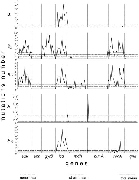 Mutation Frequencies Mutation Frequencies For Each Of The 30 Positions