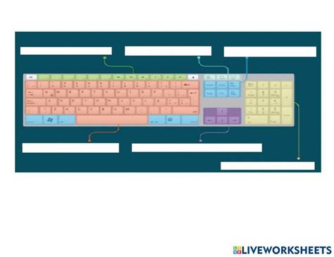 Partes Teclado Interactive Worksheet Live Worksheets