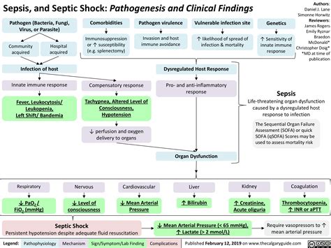 Pathway Syok Sepsis Docx