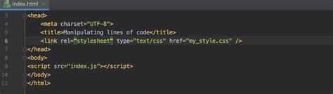 write and edit source code webstorm