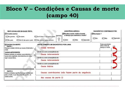 Ppt Preenchimento Adequado E Completo Da DeclaraÇÃo De Óbito Pro Aim
