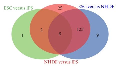 Mirnas Expression Profiles In Different Cells A Significance