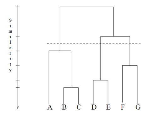 flatten and export hierarchical clusters in r stack overflow