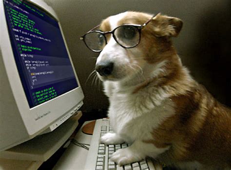 5 reasons to learn to code in 2016 waaw foundation