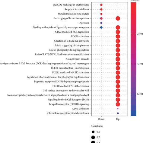 The Expression Patterns And Biological Function Of Differentially