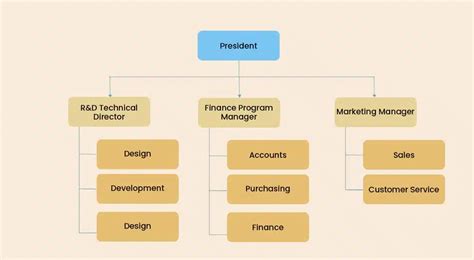 Functional Organizational Structure Advantages And Disadvantages Pm