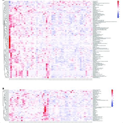 The Heatmap Showing The Hierarchical Clustering Characteristics Of