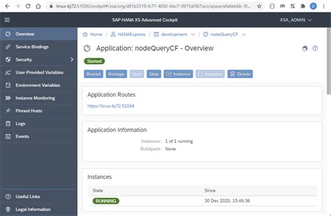create a cloud foundry or xs advanced app that queries sap