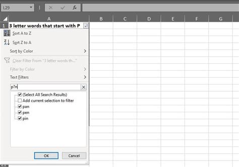 how to use wildcard characters in excel goskills