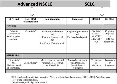Treatment Algorithm For Advance Nsclc And Ld Ed Sclc Available