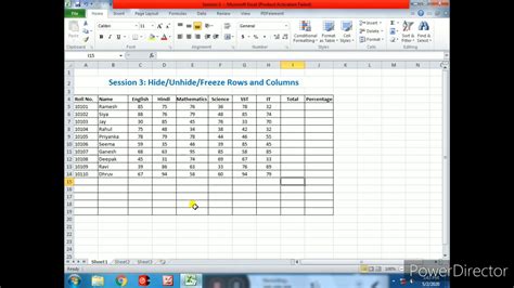session 3 hide unhide freeze rows and columns youtube