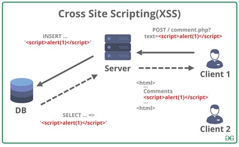 cross site scripting xss shellp