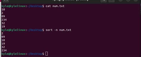 how to use the bash sort command linux consultant
