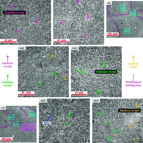 Shows The Cross Section Of The Microstructures Formed Using Scanning