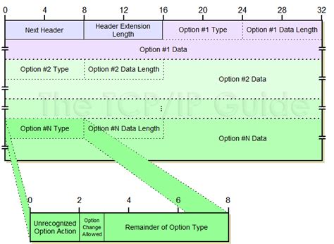 The Tcp Ip Guide Ipv6 Datagram Options