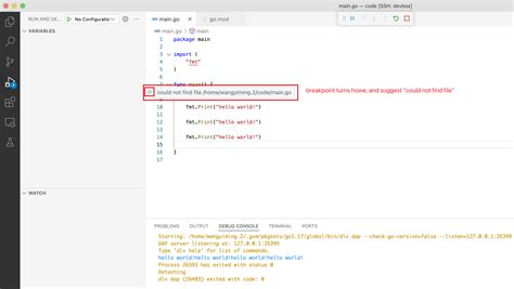 linux vscode ssh develop go cannot stop at breakpoint when code under