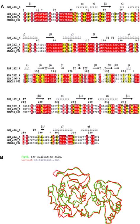 A Structure Based Sequence Alignment Of Structures 1hg1 A 2jk0 A And