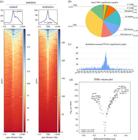 Atac Seq Experiment From Mushroom Body Neurons Nuclei Were Isolated