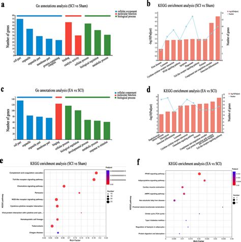 Rna Seq Analysis And Bioinformatics Analysis A Gene Analysis By Go
