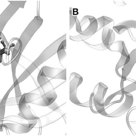 A Binding Mode Of Pqs Into The Chk1 B Comparison Of The Ligands