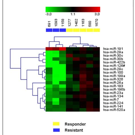Hierarchical Cluster Analysis Of Mirna Expression In Resistant And