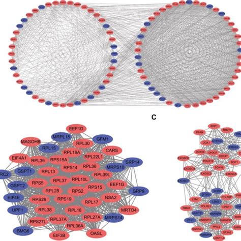 Enrichment Analysis Of Differentially Expressed Rbps A Top 10
