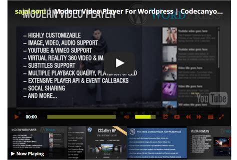 how to use the wordpress responsive youtube playlist video