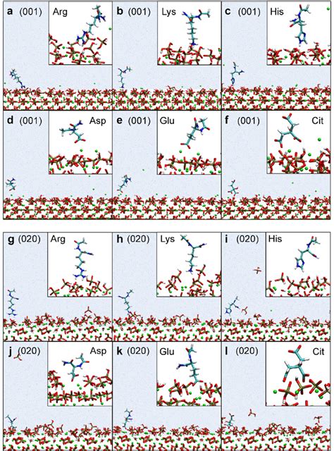 Representative Snapshots Of Binding Conformations Of Charged Amino