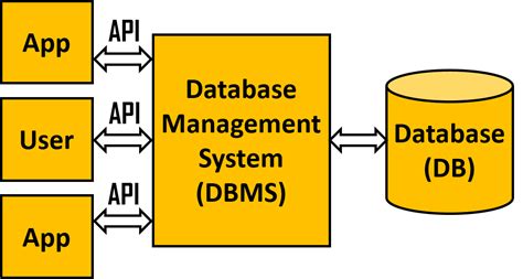 sixth chapter lesson 2 database management system dbms and rdbms