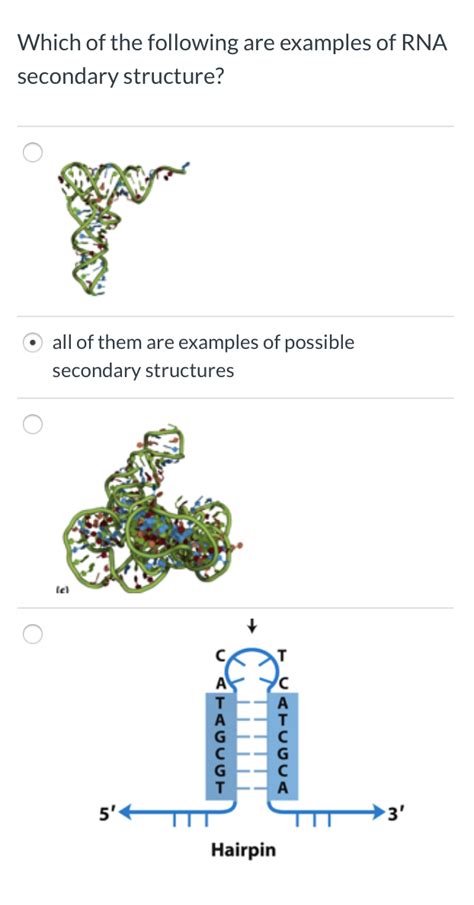 Secondary Structures In Rna Synthesis Splicing And 49 Off