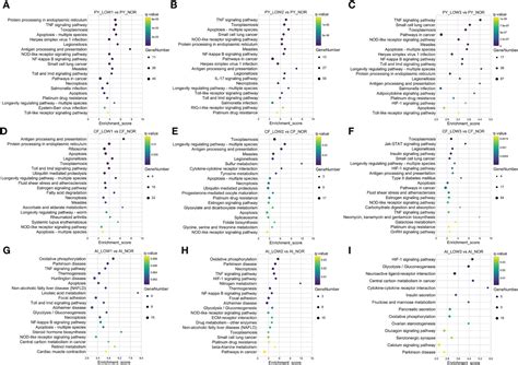 Frontiers Transcriptome Analysis Provides Insight Into Adaptive