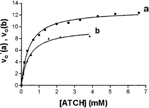 Enzymatic Hydrolysis Of Atch By Bche Measured At The Start Of The