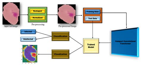 Sensors Free Full Text Explainable Transformer Based Deep Learning