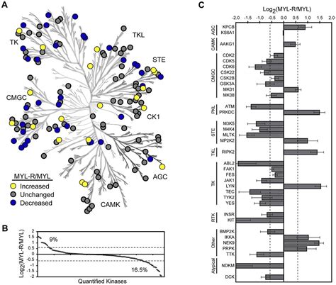 Figure 1 Application Of Mib Ms To Analyze The Kinomes Of D… Flickr