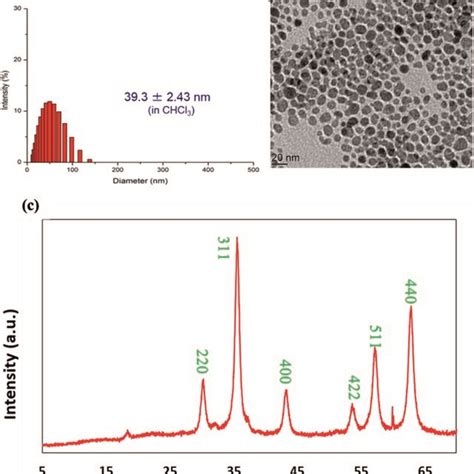 A Size Distribution Measured By Dls B Tem Image And C Xrd