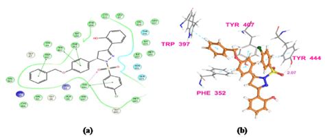 Ligand Receptor Interaction Diagram Of Compound Pfc 3 At The Binding